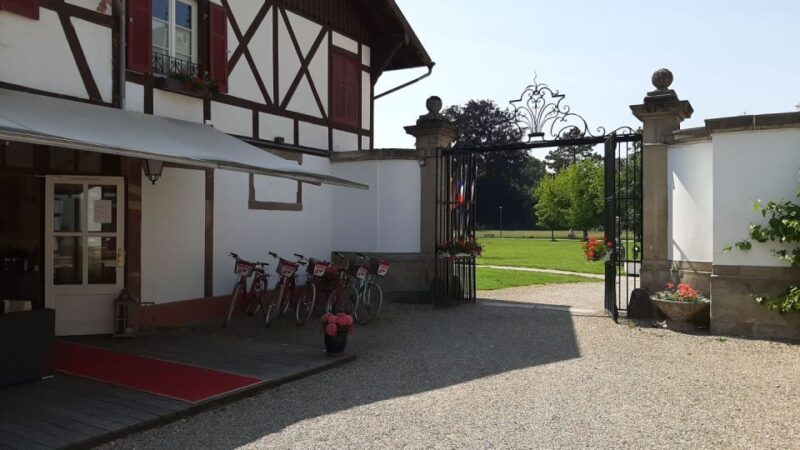 Strasbourg: 1-Day Bike Rental - Who Is This Tour Best For?