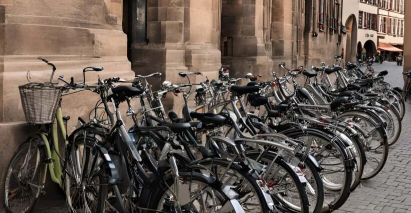 Strasbourg: Bike rental for 1 day - Who Will Appreciate This Bike Rental?