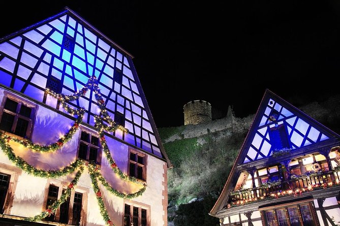 Strasbourg Christmas Market Small Group Walking Tour - Who Will Love This Tour?