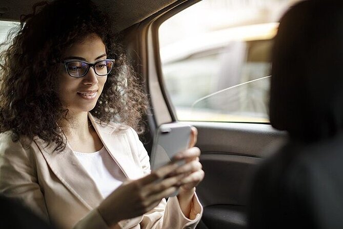 Strasbourg, Colmar, Eguisheim, Riquewihr: Private Excursion - How to Maximize Your Experience in Crowded Villages