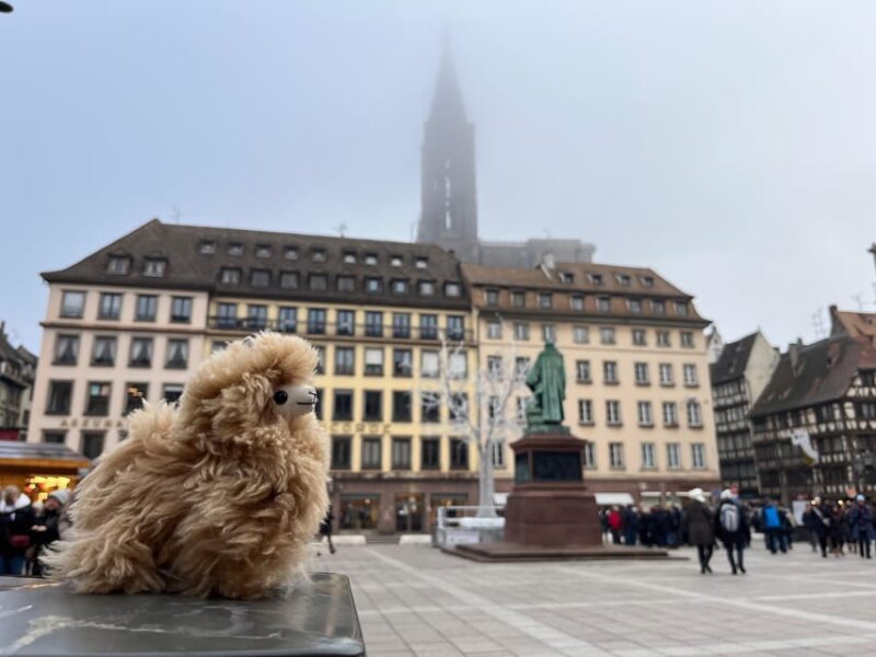 Strasbourg: Colmar, Villages & Castle Private Day Trip - Key Points