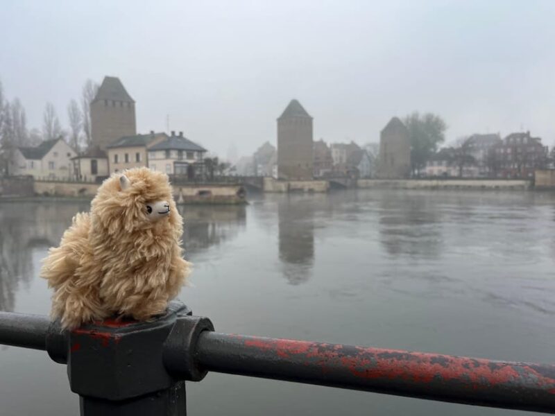 Strasbourg: Colmar, Villages & Castle Private Day Trip - What to Expect and Practical Details