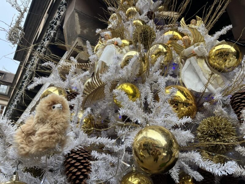 Strasbourg: Colmar, Villages & Castle Private Day Trip - Who Should Consider This Tour?