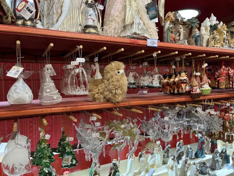 Strasbourg: Colmar, Villages & Castle Private Day Trip - Final Thoughts