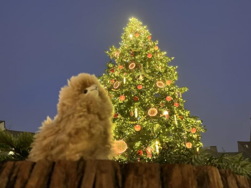 Strasbourg: Colmar, Villages & Castle Private Day Trip - FAQ