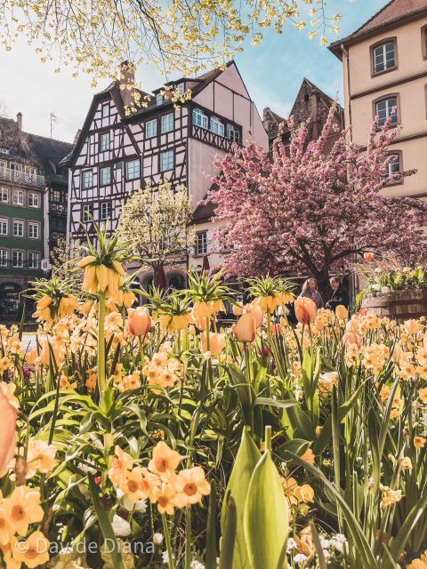 Strasbourg: Gastronomic and Walking Tour in the Old Town - The Sum Up: Why You Should Consider This Experience