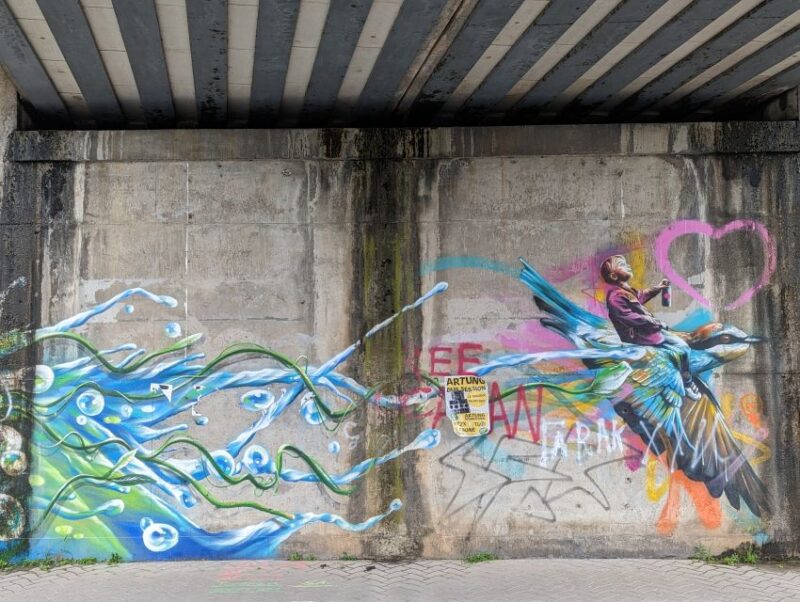 Strasbourg : Street-Art Tour - Authentic Experiences and Authentic Art