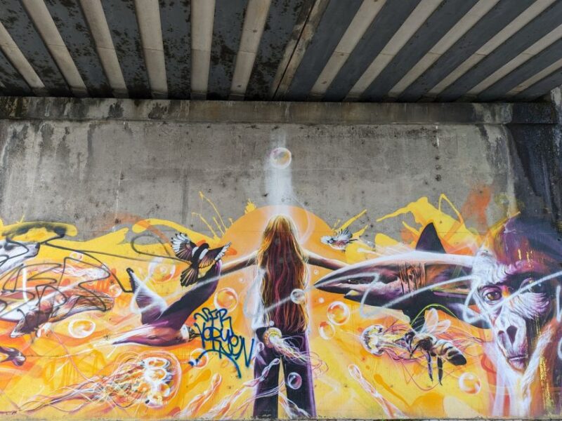 Strasbourg : Street-Art Tour - The Sum Up