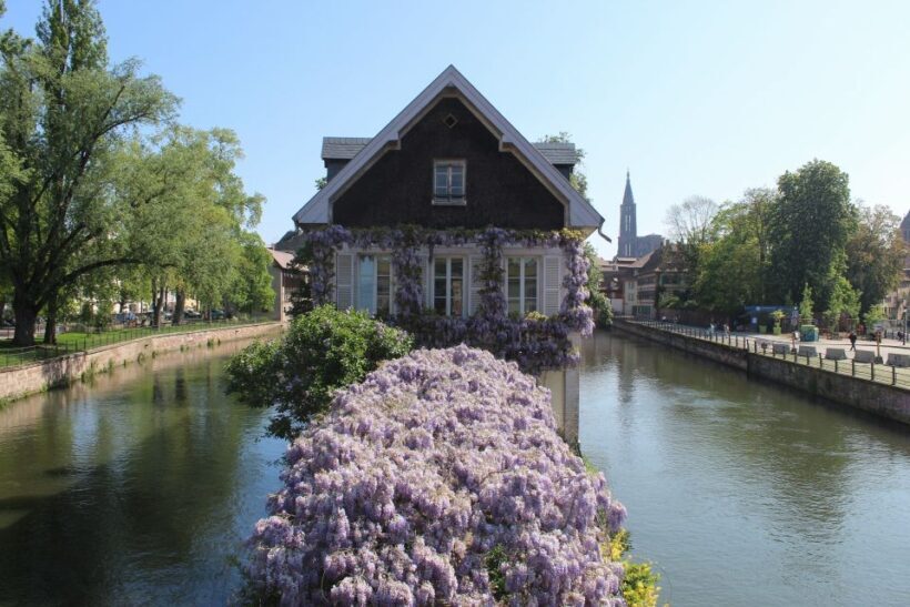 Strasbourg: Walking Tour with Local Guide - Key Points