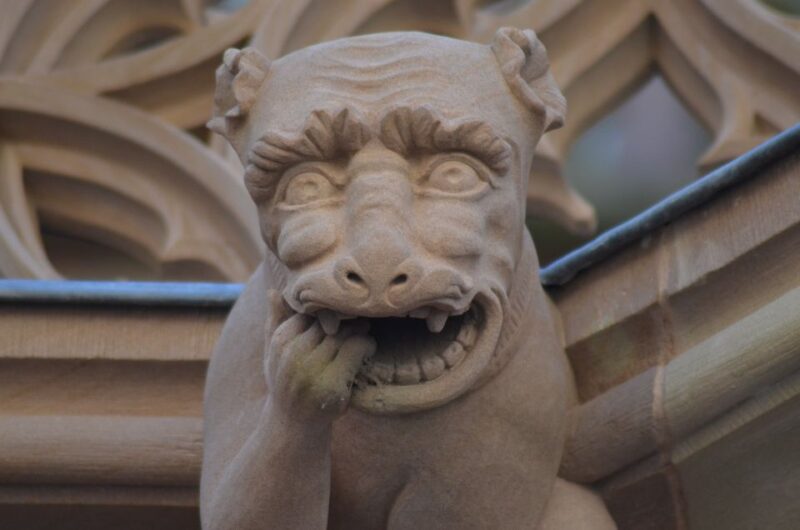 Strasbourgs Art and Culture revealed by a Local - What Makes This Tour Special?