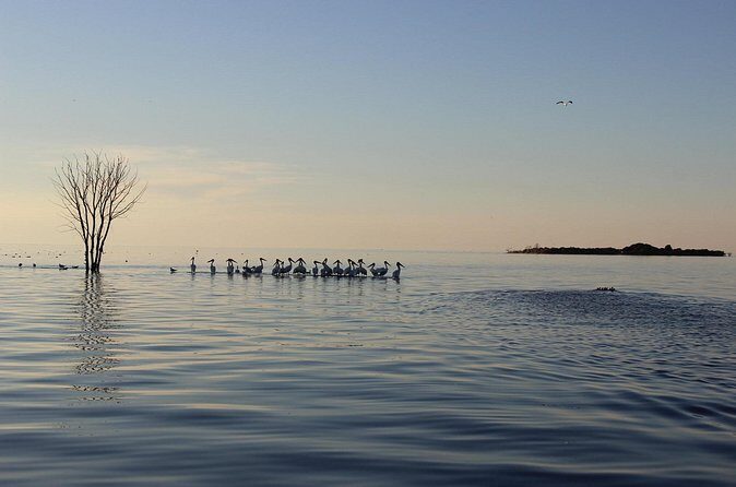 Strawberry Islands Scenic Boat Tour and Historic Cottage Row - Final Thoughts