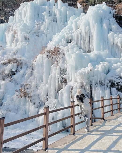Strawberry Picking & Eobi Ice Valley Winter Tour +Sledding - Key Points