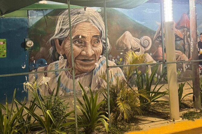 Street Art and Shopping Tour in Playa del Carmen - Walking Through the Itinerary