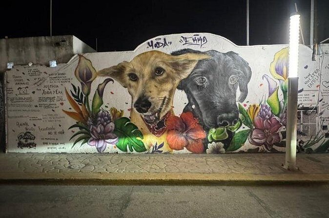 Street Art and Shopping Tour in Playa del Carmen - FAQs