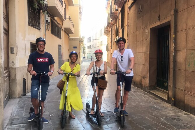 STREET ART | Group Guided Tour on City Bike - Experiencing Street Art in Valencia