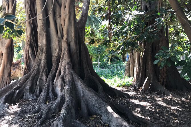 STREET ART | Group Guided Tour on City Bike - Bike Tour Inclusions