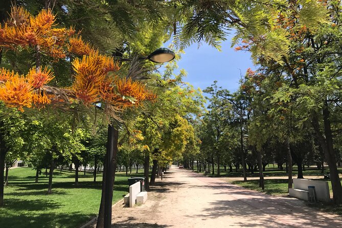 STREET ART | Group Guided Tour on City Bike - Tour Highlights and Ratings