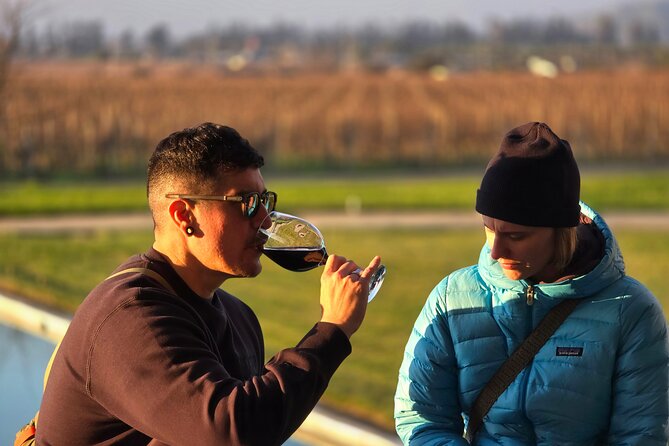 Street Art in Valparaiso and Wines in Casablanca From Santiago - Exploring Valparaisos Street Art