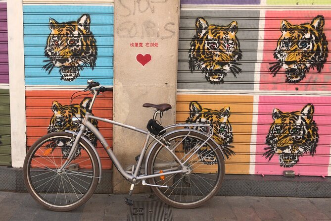 STREET ART Private Guided Tour on Bike, E-Bike, E-Step or Segway - Traveler Feedback and Ratings