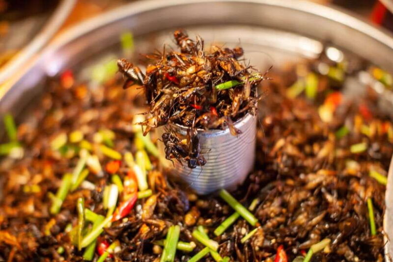 Street Food Tour by Scooter in Siem Reap - Key Points