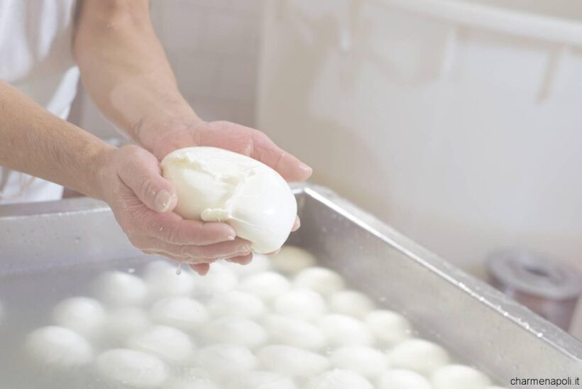 Street food tour: the Neapolitan culinary art - FAQ