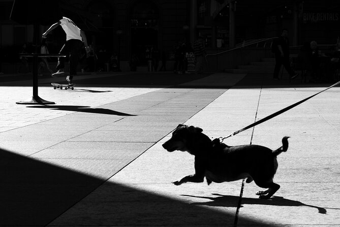 Street Photography Workshops in London - The Value of the Experience: Is It Worth It?