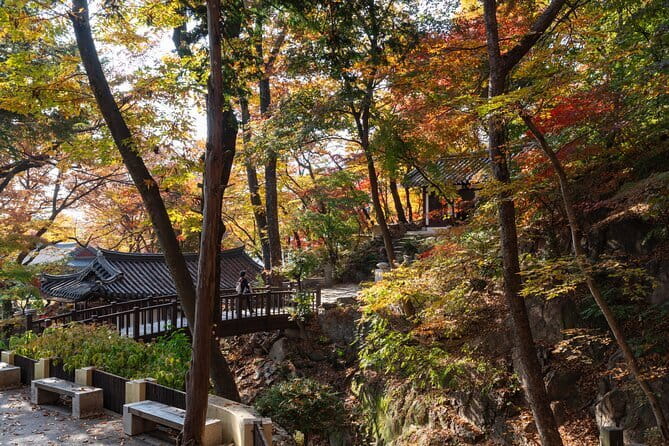 Street photoshoot and Seoul Hidden gem History Walking Tour - Final Thoughts