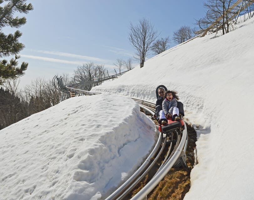 Stresa: Alpyland Alpine Coaster Ride on Mount Mottarone - What is the Alpyland Alpine Coaster?