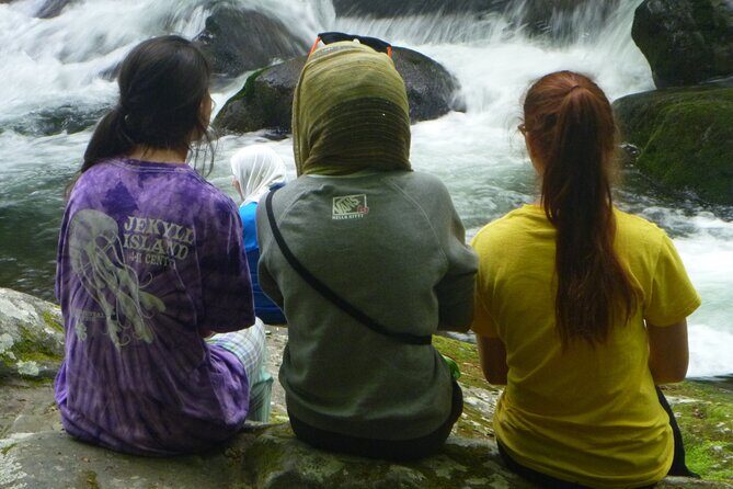 Stroll Back in Time Smokies History Streams and Forest Hike - Authentic Experiences and Traveler Feedback
