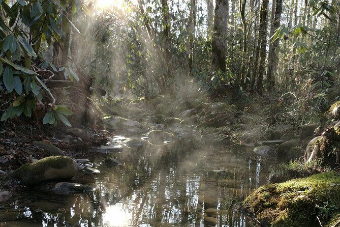 Stroll Back in Time Smokies History Streams and Forest Hike - Who Will Love This Tour?