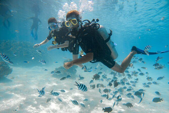 Stroll out of time on the lagoon of Bora Bora - Who is this tour perfect for?