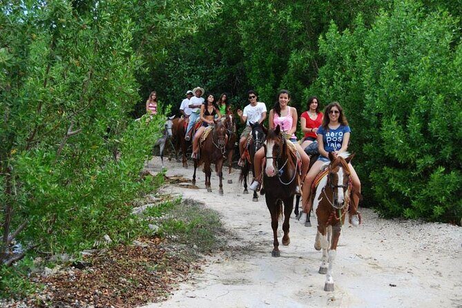 STROLL the Jungle Trails on a HORSE. Includes Transportation and Equipment. - A Detailed Look at the Horseback Jungle Trail Tour