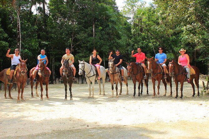 STROLL the Jungle Trails on a HORSE. Includes Transportation and Equipment. - Final Thoughts: Is it Worth It?