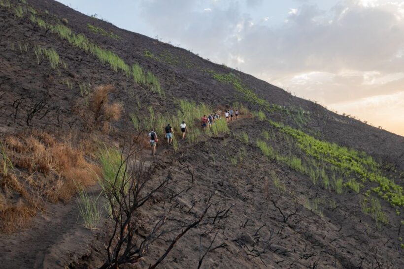 Stromboli: Sunset Trekking at Sciara del Fuoco - Who Will Love This Tour
