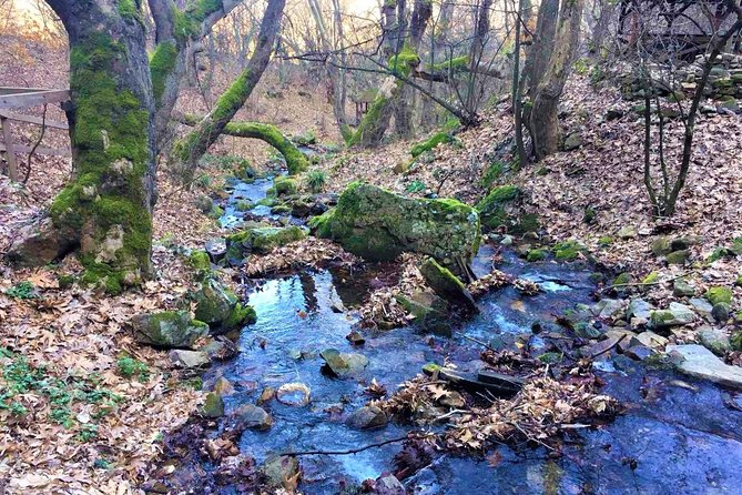 Strumica monasteries and waterfalls tour from Skopje - Authentic Experiences and Traveler Feedback