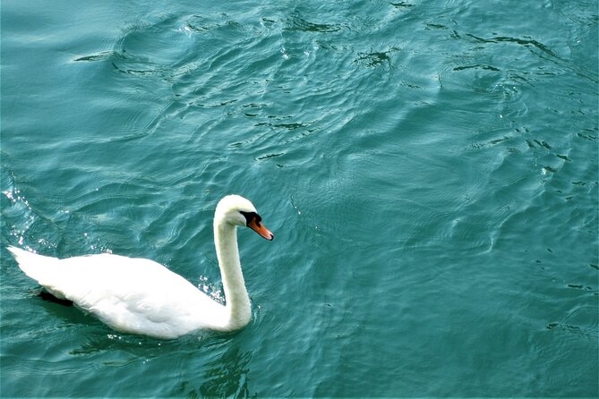 (STTG04) - Sightseeing Cruise at Geneva With Wine and Aperitif - Eco-Friendly Vessel and Sustainable Travel