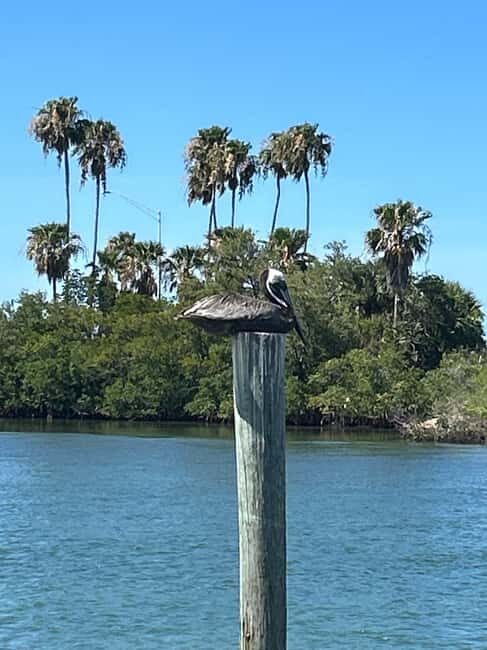 Stuart FL: Sunset Celebration Treasure Coast - Final Thoughts