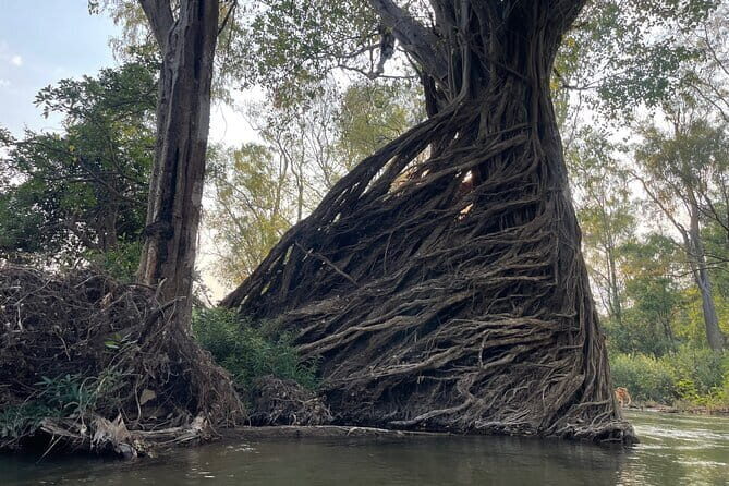 Stung Treng Canoeing In Mekong River - Discovering Cambodia’s Hidden Temples and the Mekong