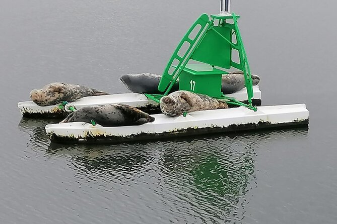 Stunning 90-Minute Firth of Forth Sightseeing Cruise Adventure - Positive Guest Feedback