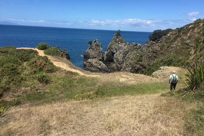 Stunning Auckland East Coast Walk & Wine Private Tour - Discover the Beauty of Auckland’s East Coast with a Private Walk & Wine Tour