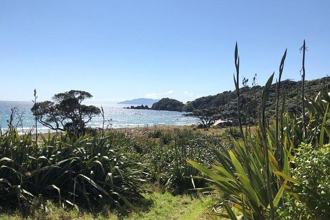 Stunning Auckland East Coast Walk & Wine Private Tour - Final Thoughts