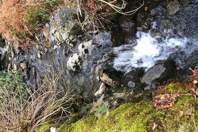 Stunning Lake District 4 Hour Tours! - Important Information for Tour Participants