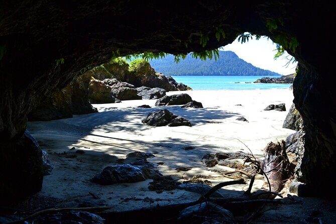 STUNNING San Josef Bay Tour in Cape Scott Provincial Park - Key Points to Remember