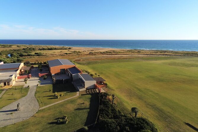 Stunning Sundown Beach Ride ... on Horseback! - Positive Guest Reviews