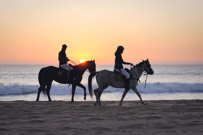 Stunning Sundown Beach Ride ... on Horseback! - Booking and Cancellation Details