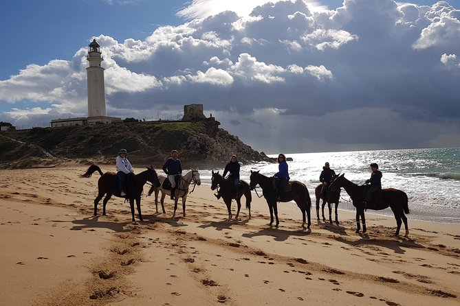 Stunning Sundown Beach Ride ... on Horseback! - Unique Highlights of the Activity