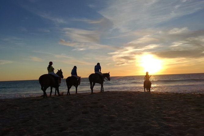 Stunning Sundown Beach Ride ... on Horseback! - Suitability and Recommended Audience