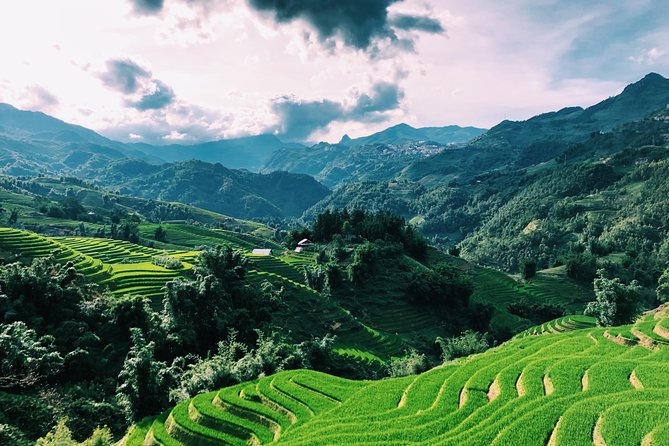 Stunning Terraced Rice Fields on 2-Day Trekking - What to Expect from This Sapa Trekking Adventure