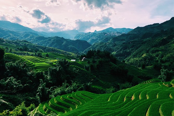 Stunning Terraced Rice Fields on 2-Day Trekking - Who Should Consider This Tour?