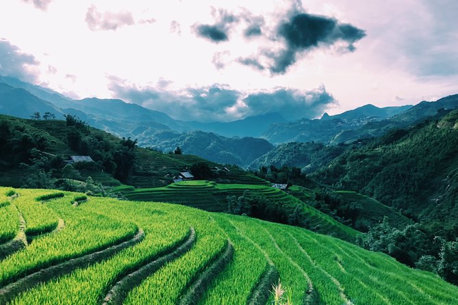 Stunning Terraced Rice Fields on 2-Day Trekking - FAQ